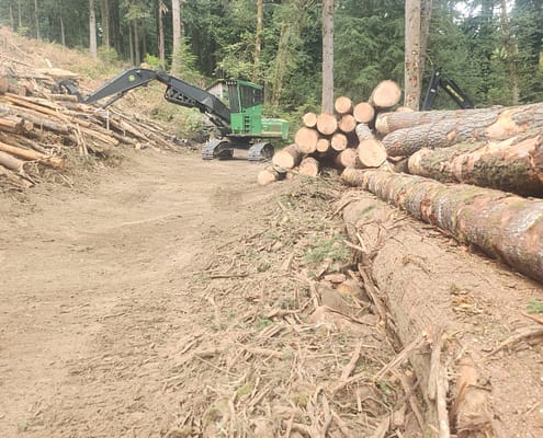 Timber Management Longview Wa | Greenmountain Logging Wa