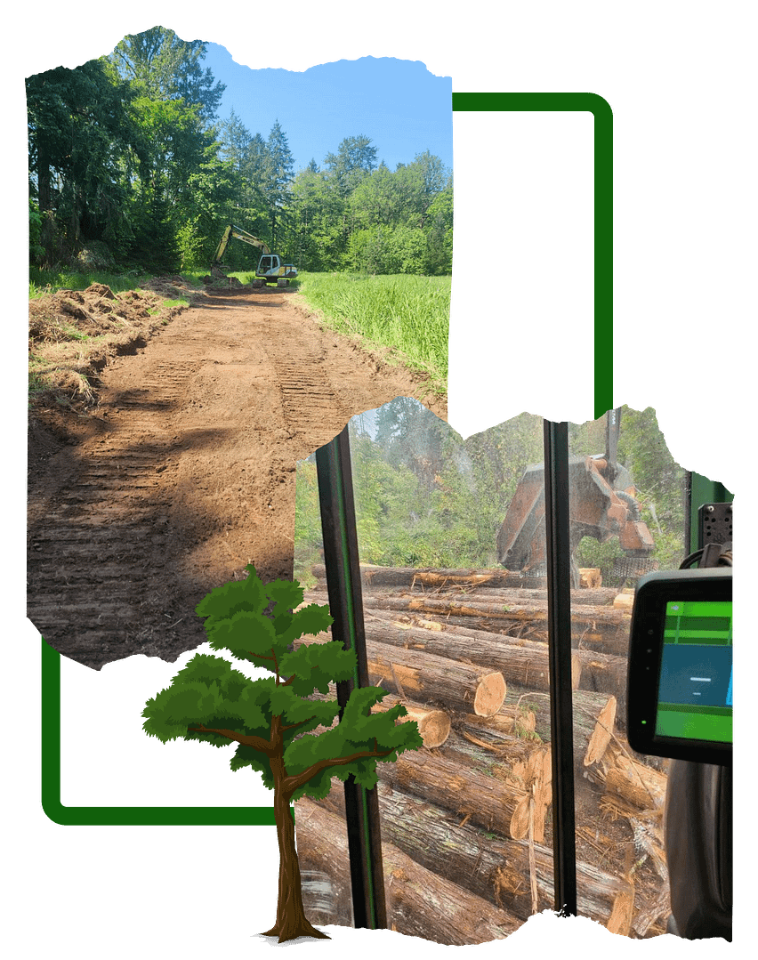 Excellent Logging Services - Green Mountain Logging